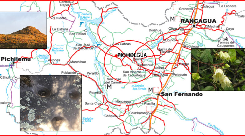 Comuna de Pichidegua, territorio indígena de alto interés Mapuche ...