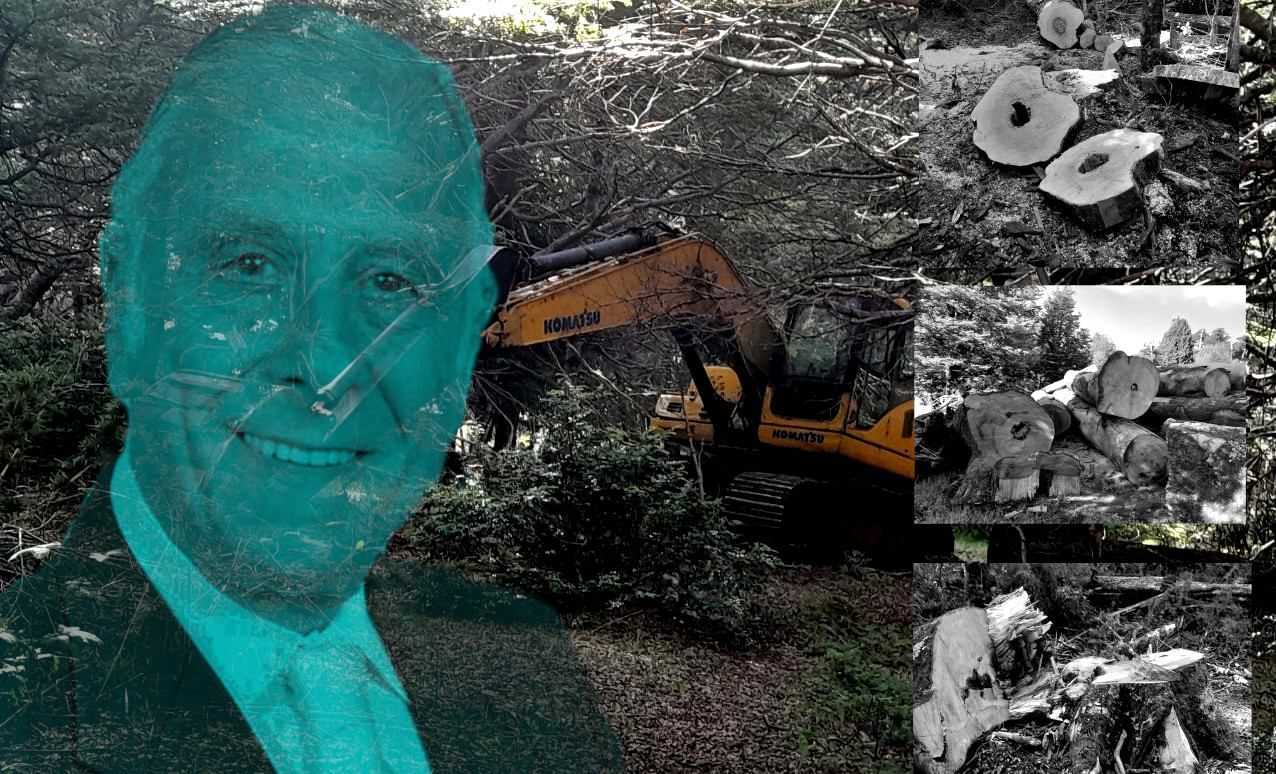 Radio Kurruf — [Comunicado] Eugenio Tuma ex senador arrasa con bosque ...