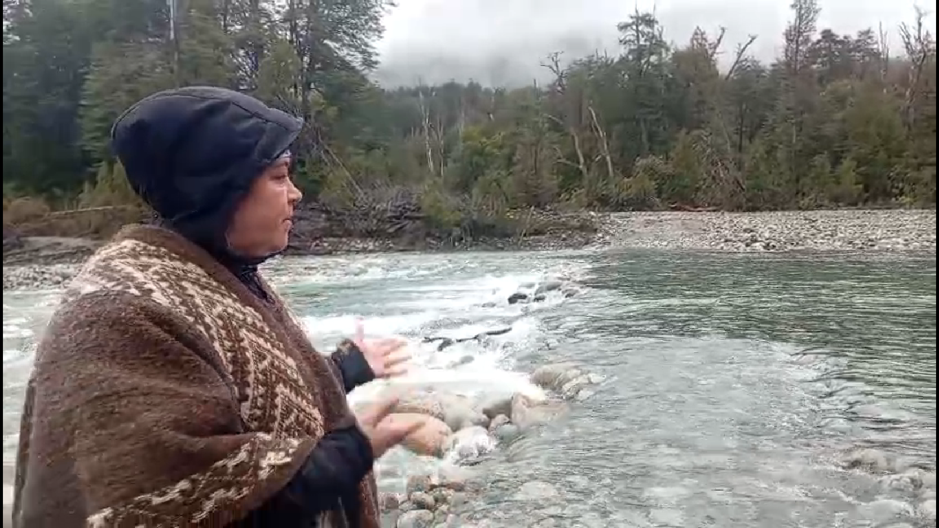 Radio Kurruf — Lof Cayun Panicheo denuncia grave destrucción de la ...